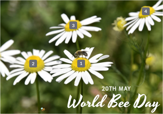 Bees day 4th A