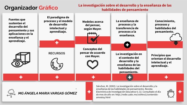 ORGANIZADOR2 GRAFICO