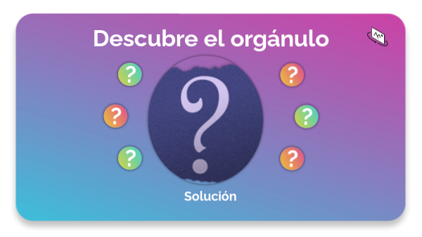 Descubre el orgánulo