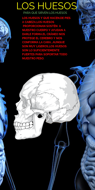 DANIEL COSTA VICENTE | Genially