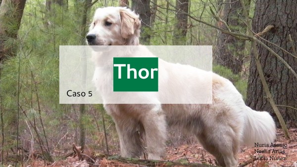 Etología Thor (caso 5)