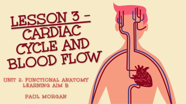 LESSON 3 - CV System