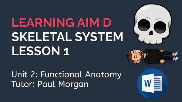 Skeletal System - Lesson 1