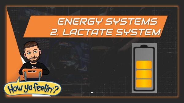 Lactate System