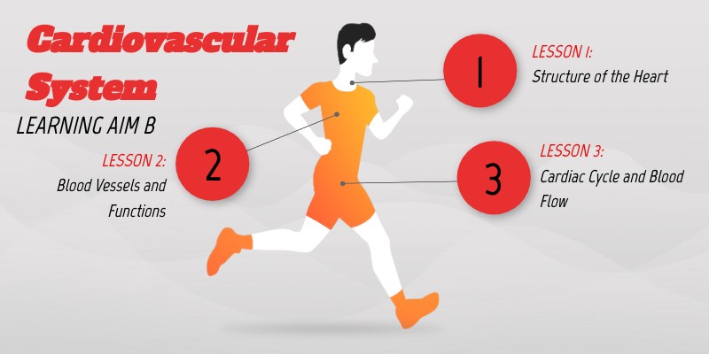 CV System OVERVIEW PAGE | Genially