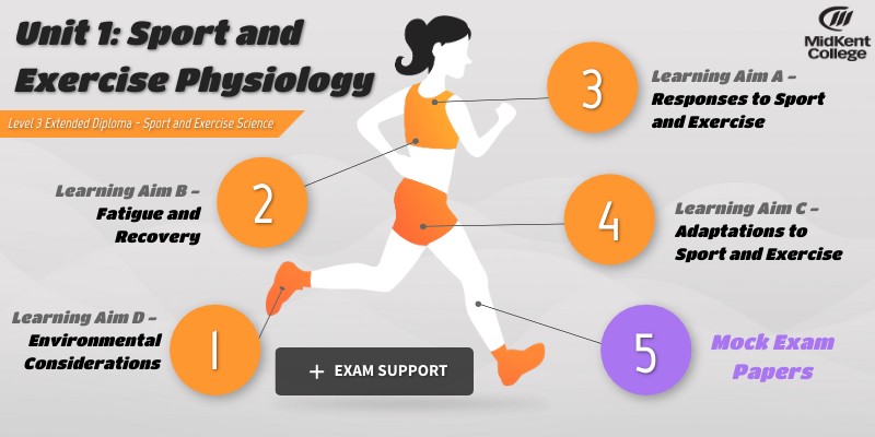 Content Example - Physiology | Genially