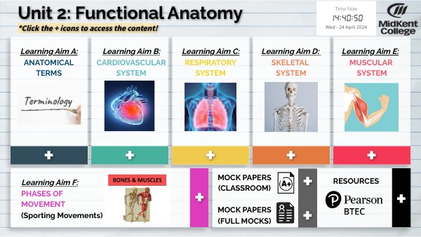 Unit 2: Functional Anatomy OVERVIEW PAGE | Genially