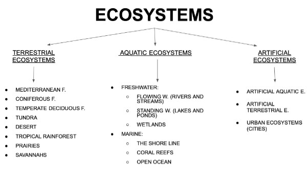 ECOSYSTEMS SCHEME