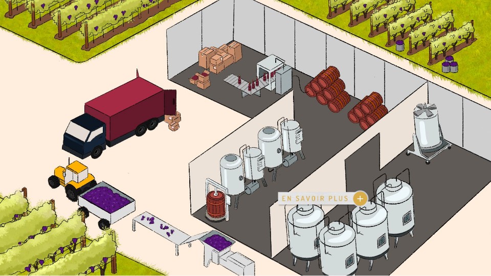 Où dans le chai se réalise la fermentation malo-lactique