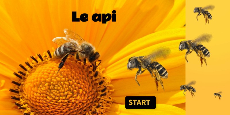 LE API