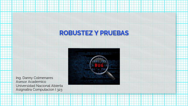 Robustez