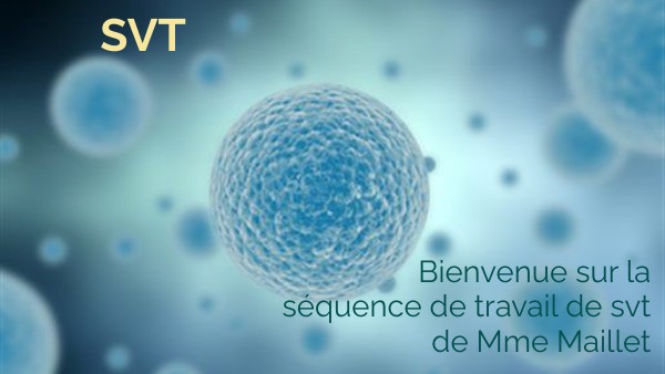 3e-2020-Partie I Séquence 1 | Genially