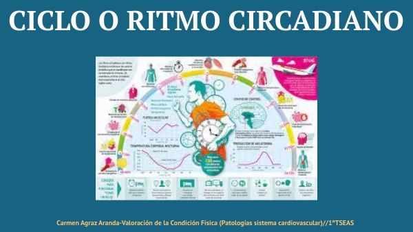 Trabajo ciclo o ritmo circadiano-valoración