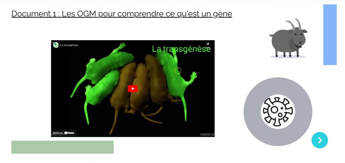 Génétique 3e - activité 4 copie | Genially