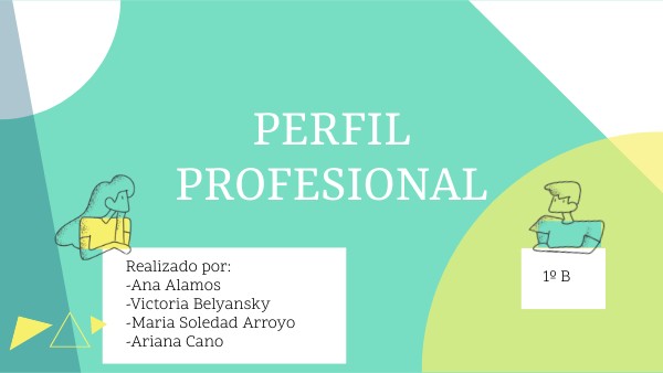 perfil profesional ei