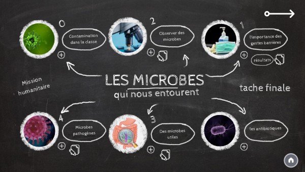 Les microbes qui nous entourent