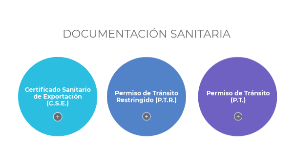 Fifra - U1 | Genially