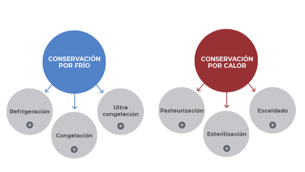 FIFRA - U3 I3 | Genially