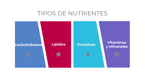 Fifra - U2 | Genially