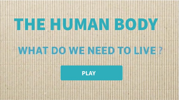 5º_NS_Bloque2_THEHUMANBODY | Genially