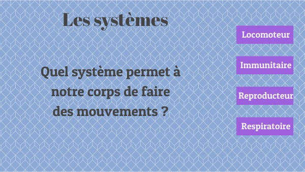 Les systèmes | Genially