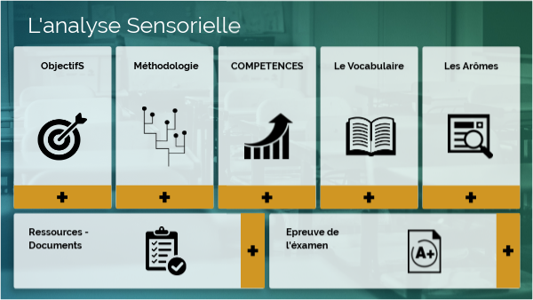 Analyse Sensorielle | Genially