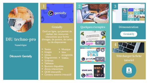 DIU techno-pro numérique en visio