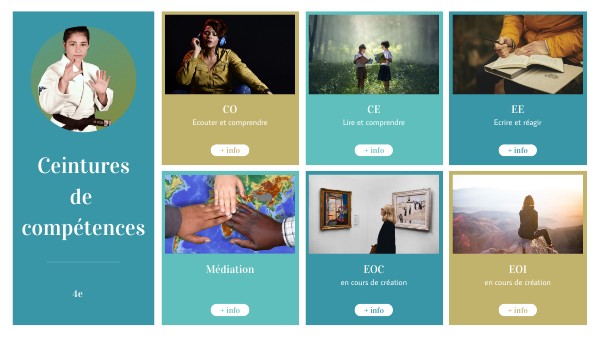 4e_Ceintures de compétences