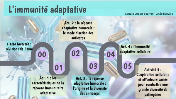 Immunité adaptative
