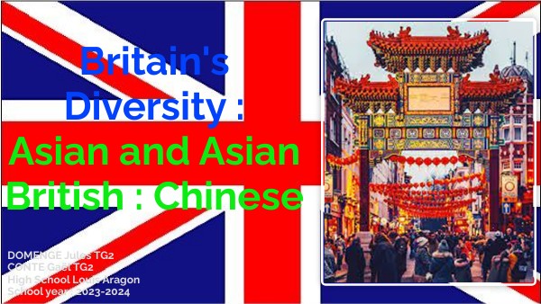 Britain's Diversity