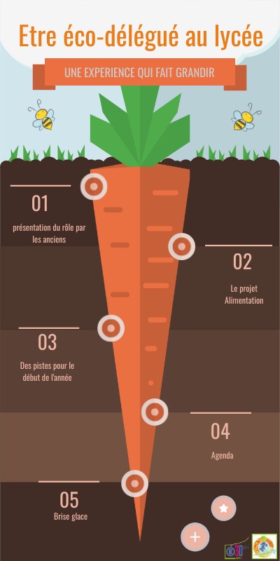 reunion information eco délégué | Genially