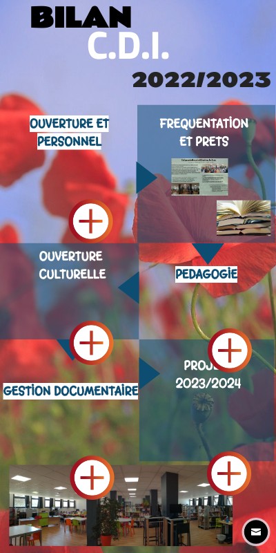 BILAN CDI 2022/2023 | Genially
