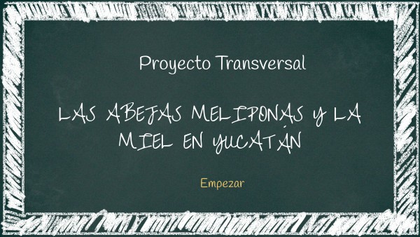 Proyecto transversal