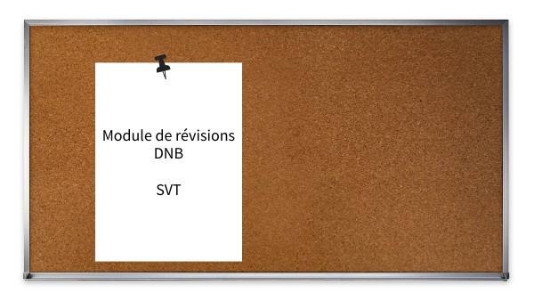 Module Révision DNB | Genially