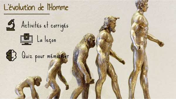Evolution Homme