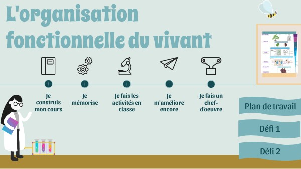 Organisation fonctionnelle du vivant_plan de travail 2nd | Genially