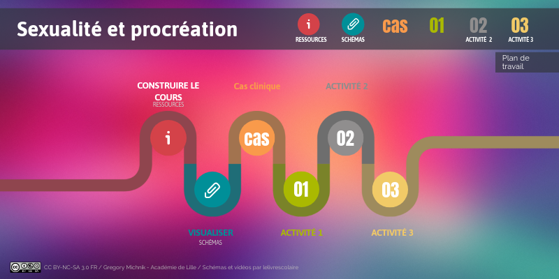 PDT seconde- Sexualité reproduction | Genially