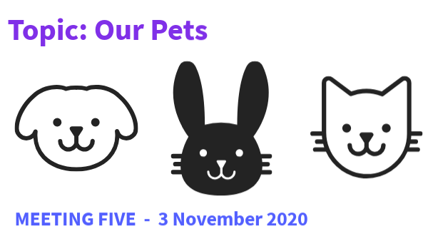 Meeting Five - Our Pets | Genially