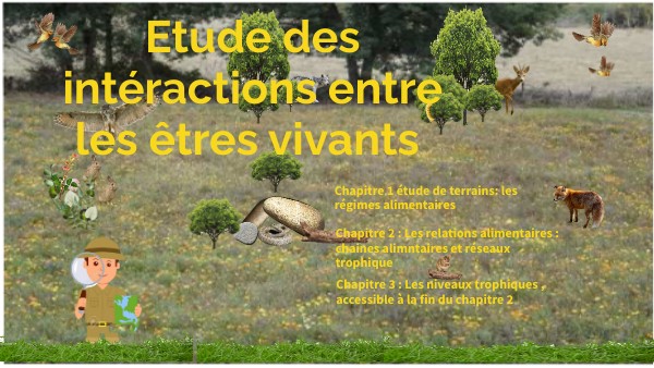 Chaîne alimentaire et réseau trophique