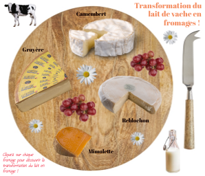 transformation du lait en fromages | Genially