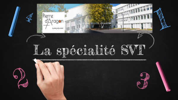 présentation SPE