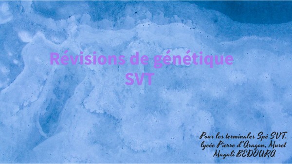 REVISIONS_TERM_SPE | Genially