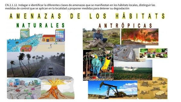 amenazas que se manifiestan en los hábitats locales | Genially