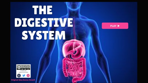 Digestive System | Genially