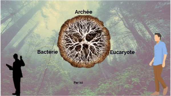 Place Homme Genially