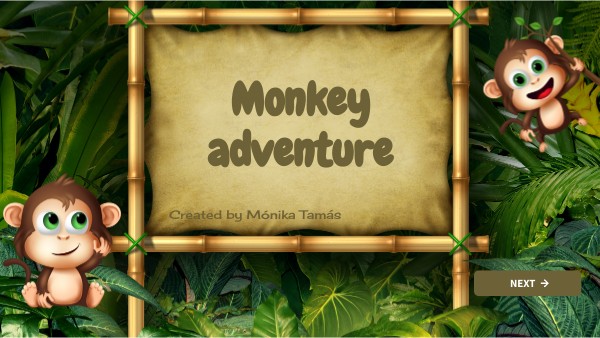 Monkey adventure