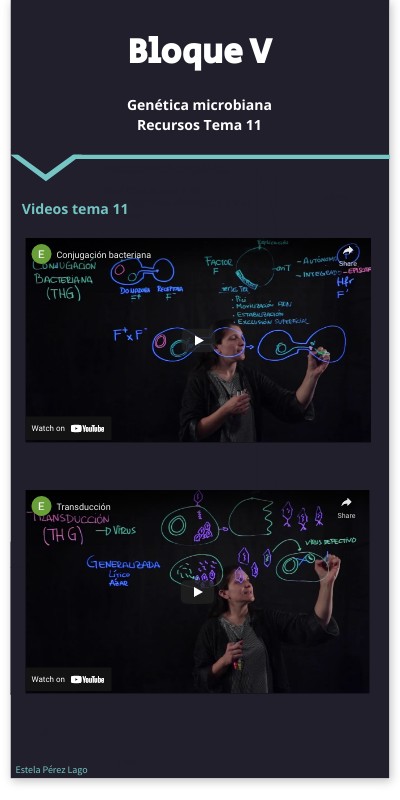 Copy -BLOQUE V. TEma 11