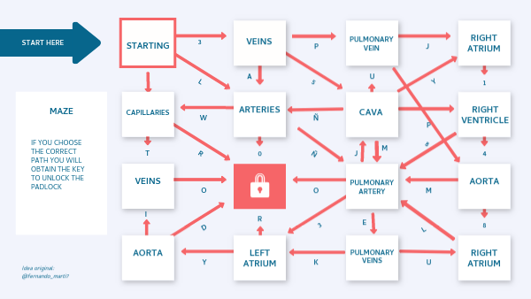 Heart&Circulation | Genially