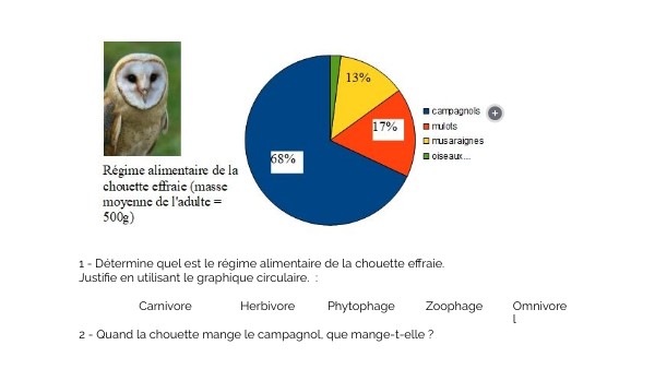 Nourriture animaux | Genially