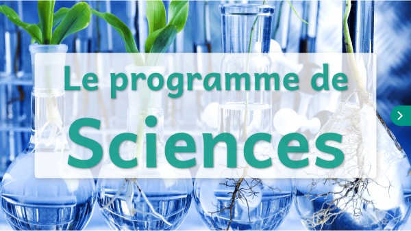 6e - Programme Sciences